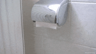 Toilet Paper Animation - VideosGifs.Net