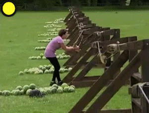 Throwing watermelon fail - VideosGifs.Net