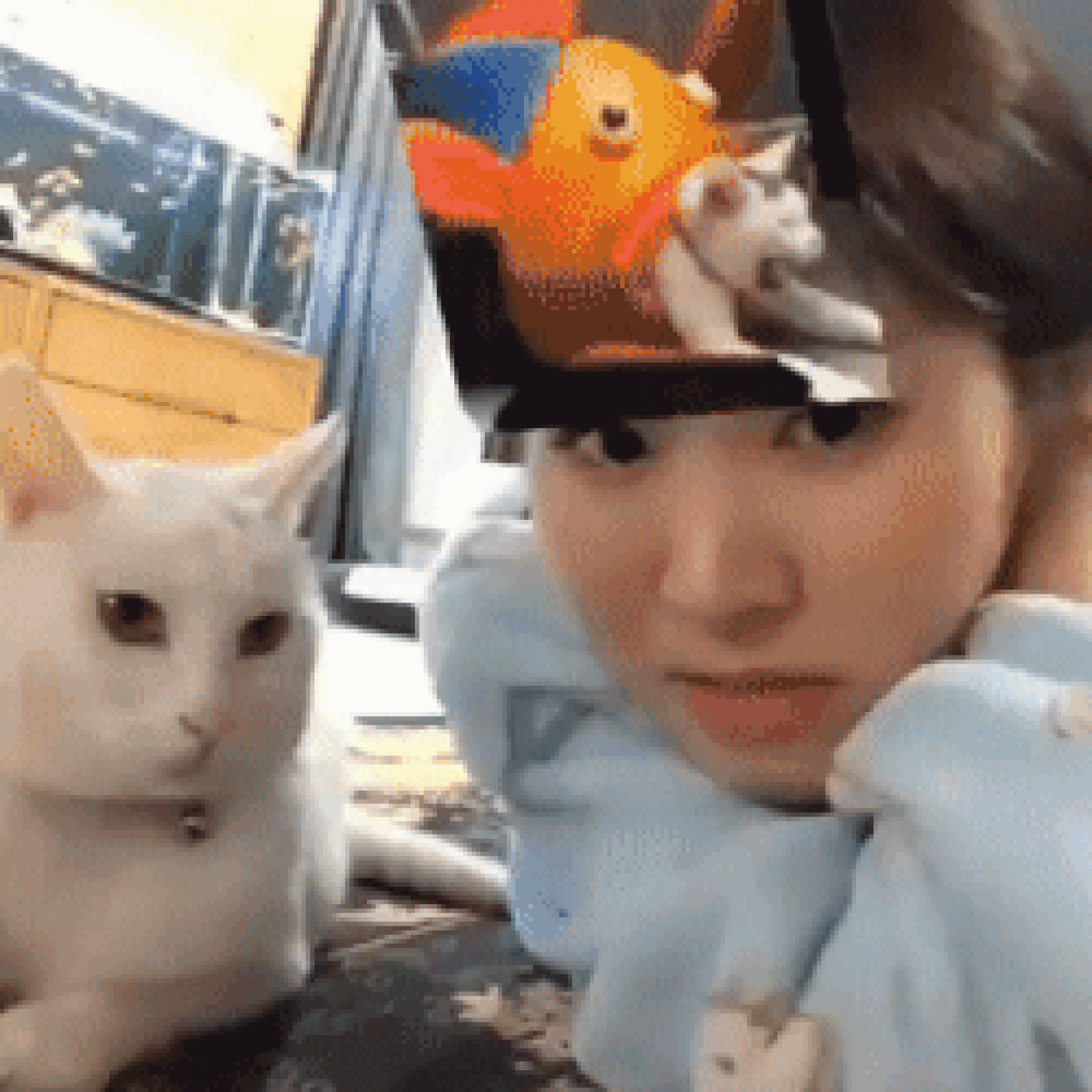 Jealous Cat - VideosGifs.Net