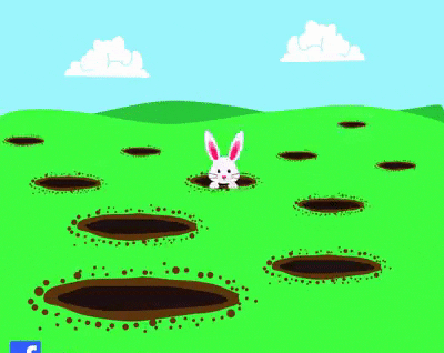 Catch the Rabbit if You Can - VideosGifs.Net