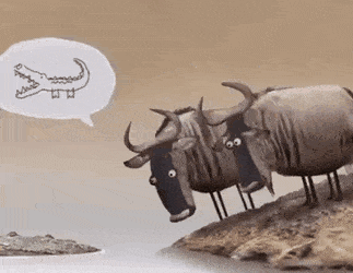 Crocodile or Stone Animation