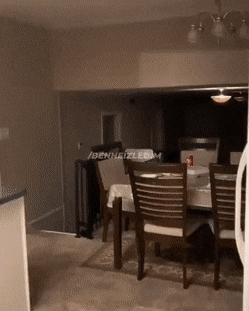 When you turn off the light at night - VideosGifs.Net