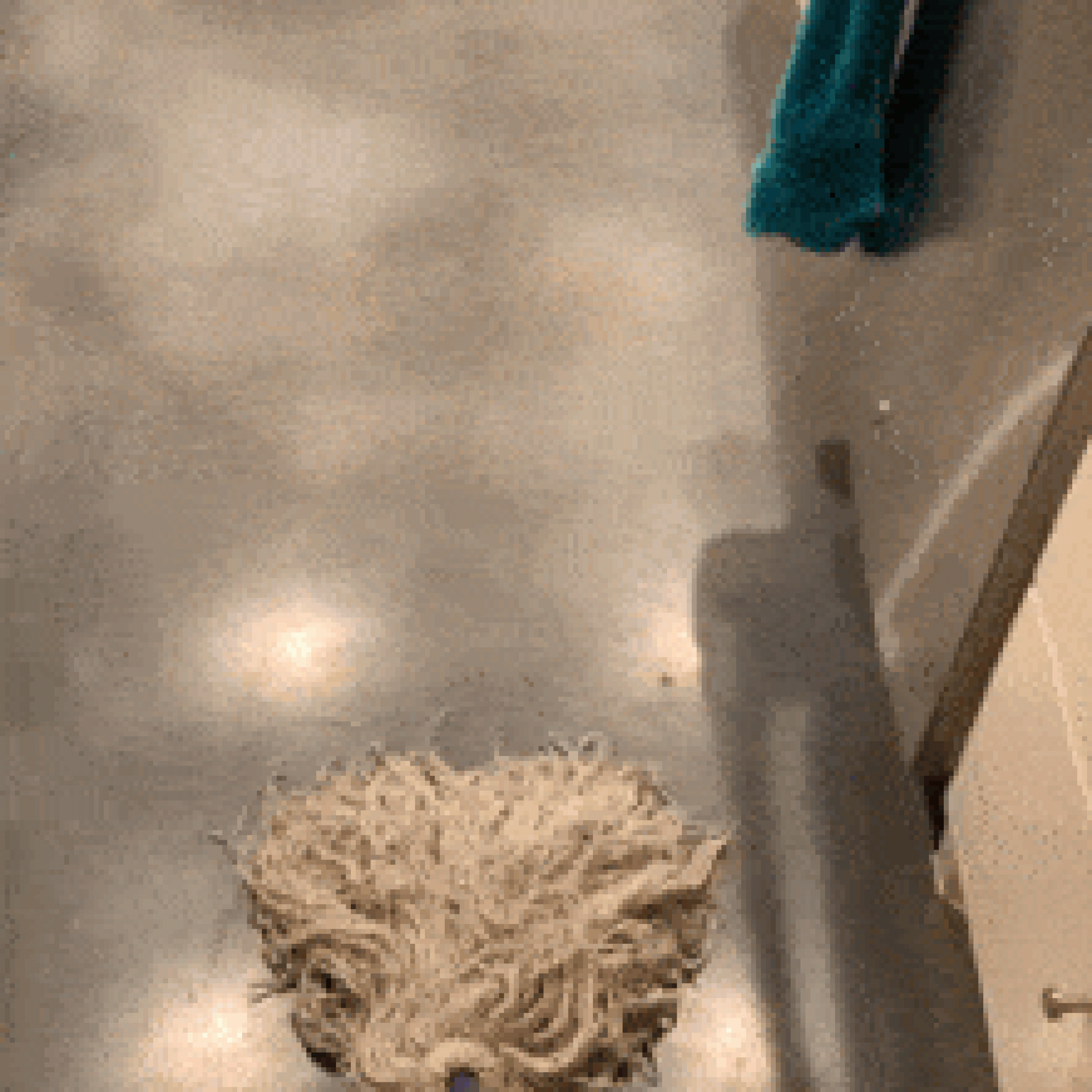 Fear of mopping - VideosGifs.Net