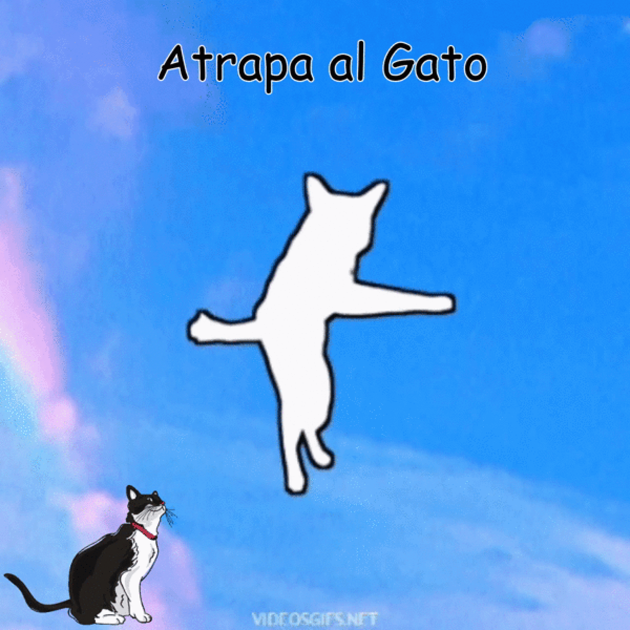Capture the Cat - VideosGifs.Net
