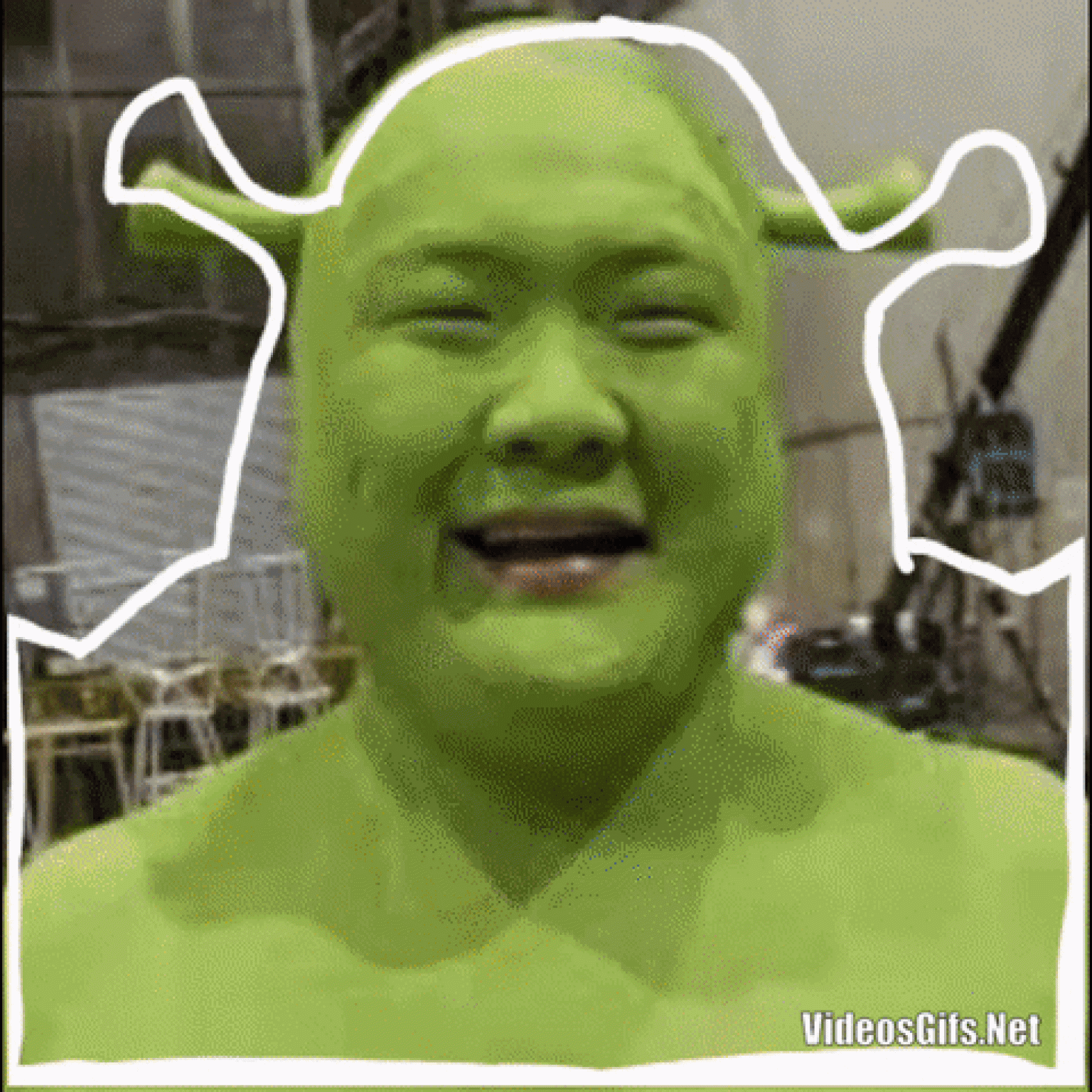 Capture the real Shrek
