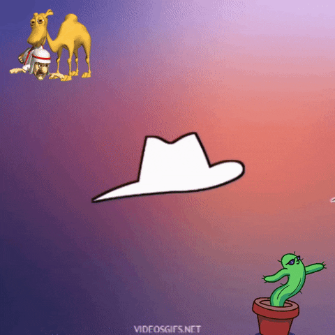 Capture the Hat - VideosGifs.Net