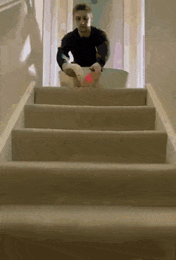 Go get the colored balls - VideosGifs.Net