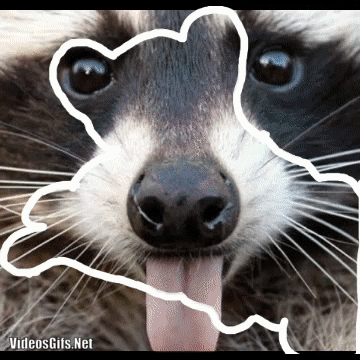 Capture the right animal - VideosGifs.Net