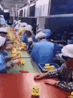 Is the best job in the world - VideosGifs.Net