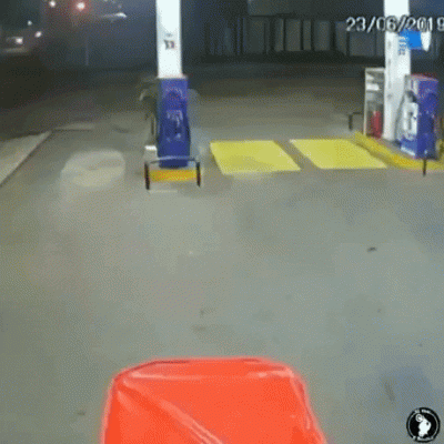 toro-suelto-en-estacion-de-gasolina-400x400.gif