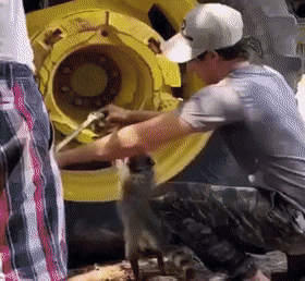 A little extra help - VideosGifs.Net