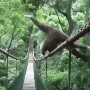 Amazing drawings - VideosGifs.Net