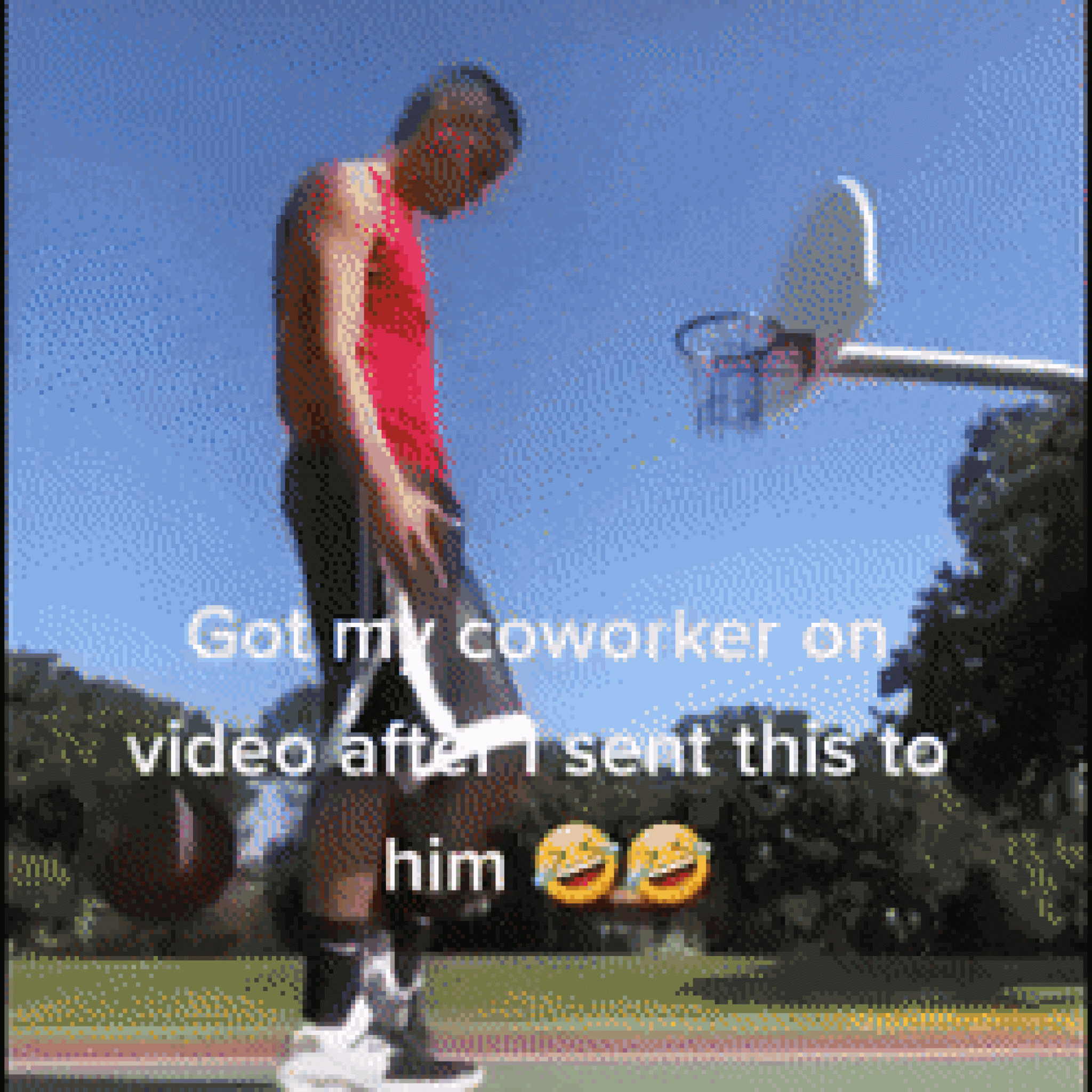 Be kind to all creatures