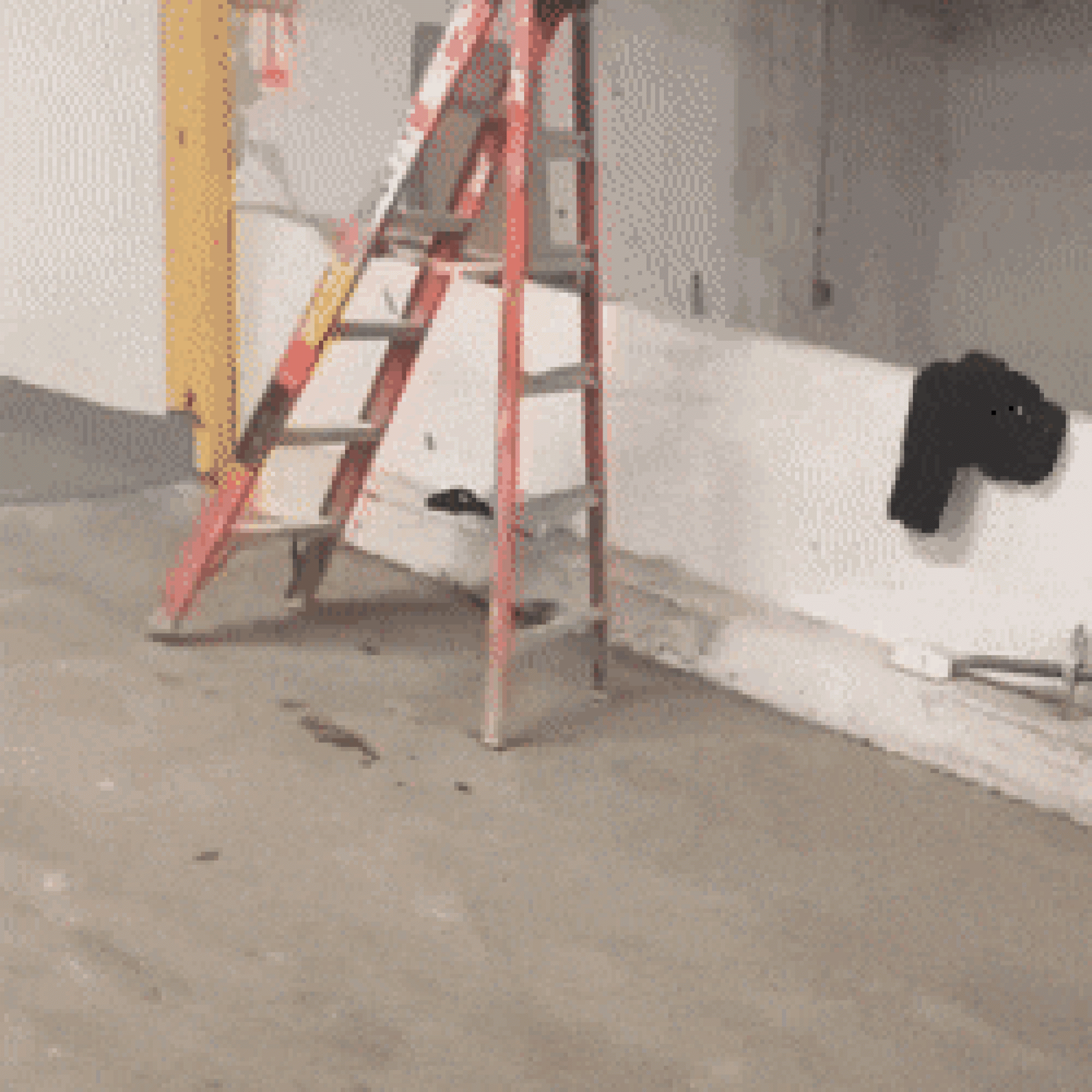 Eyyeeahh - VideosGifs.Net