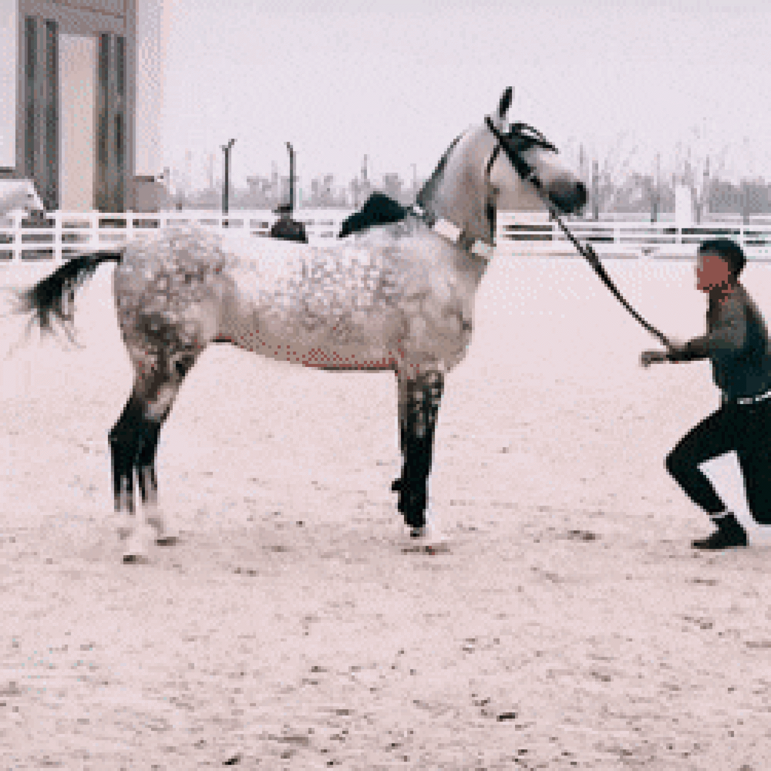 ASCII Art Fireworks Loop