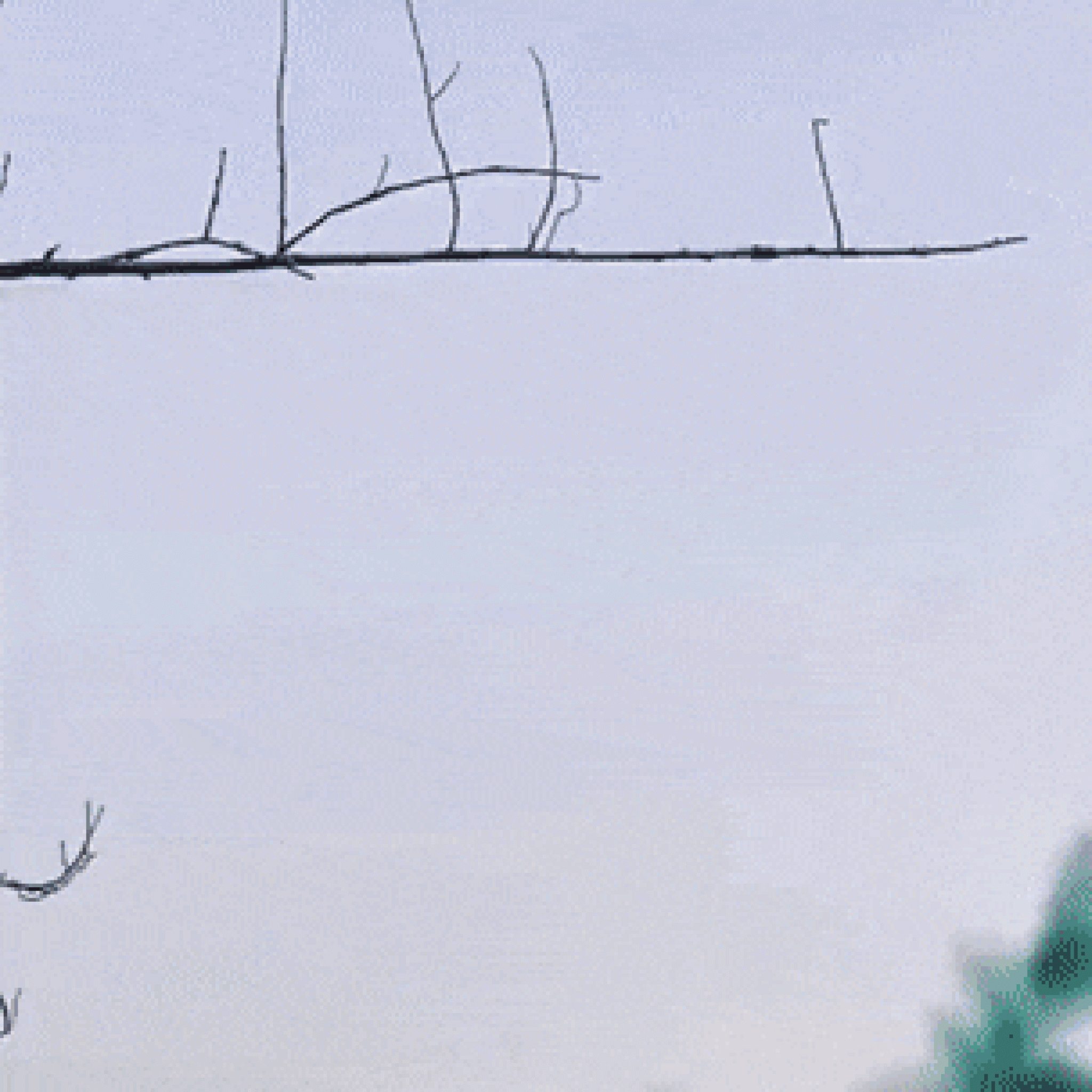 Pizza and hair - VideosGifs.Net