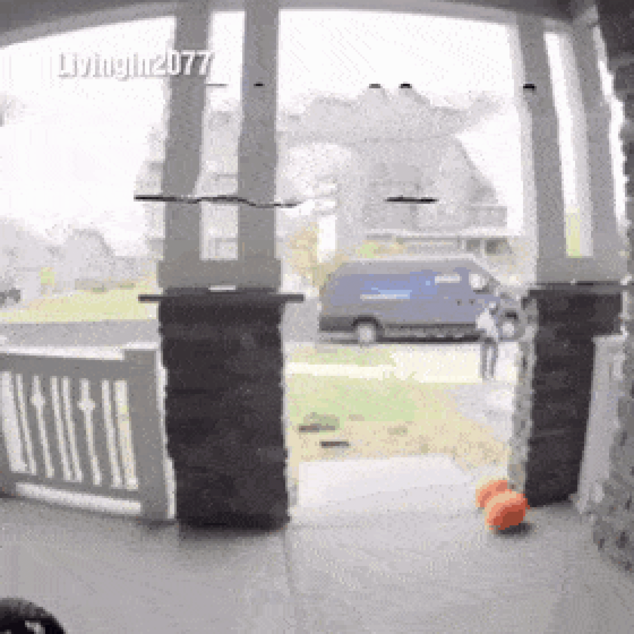 Aw fack - VideosGifs.Net