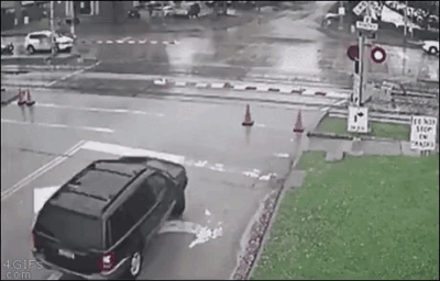 outsmarting-everything-and-everyone-400x256.gif