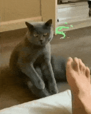 What a smell - VideosGifs.Net