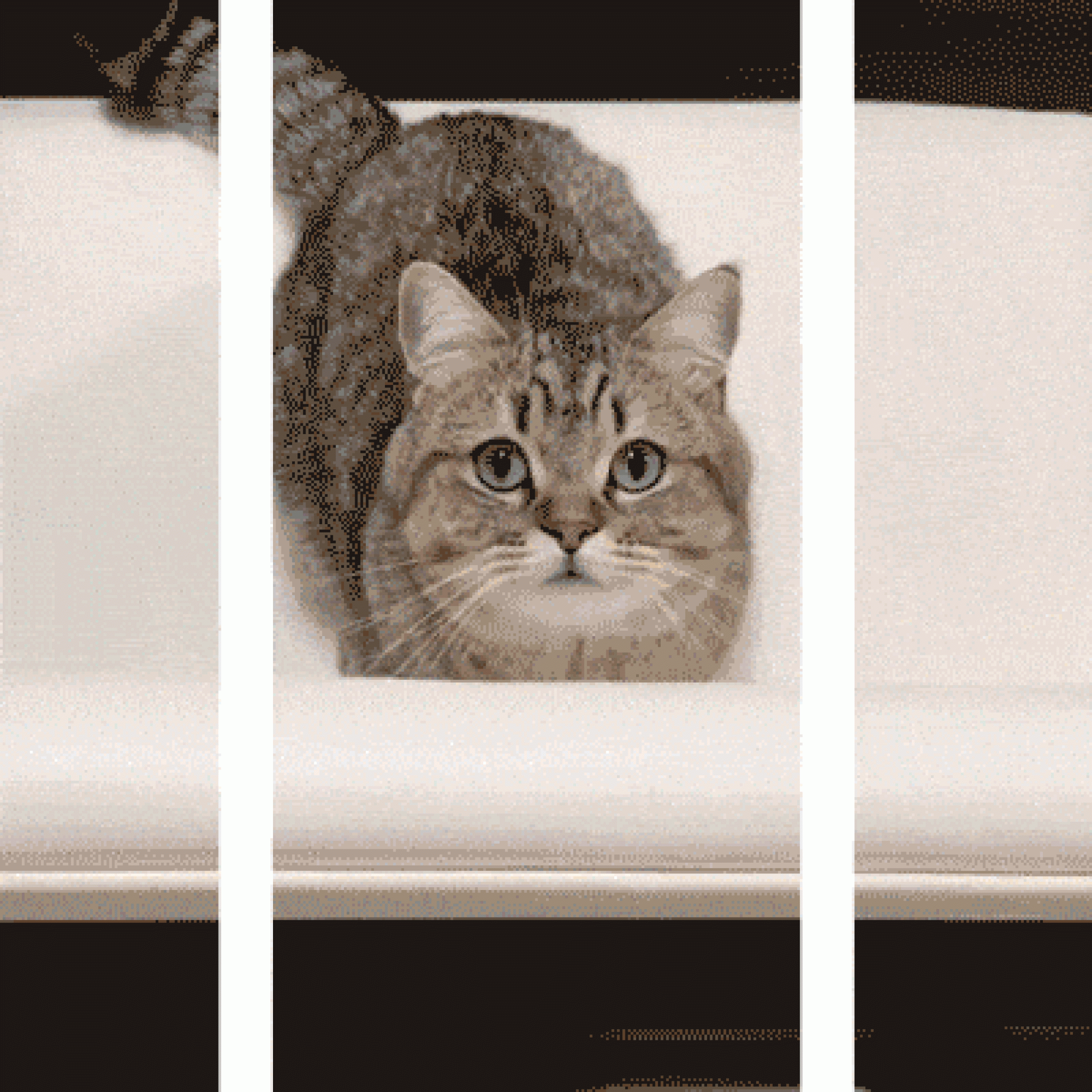 Enjoy a cat in 3D