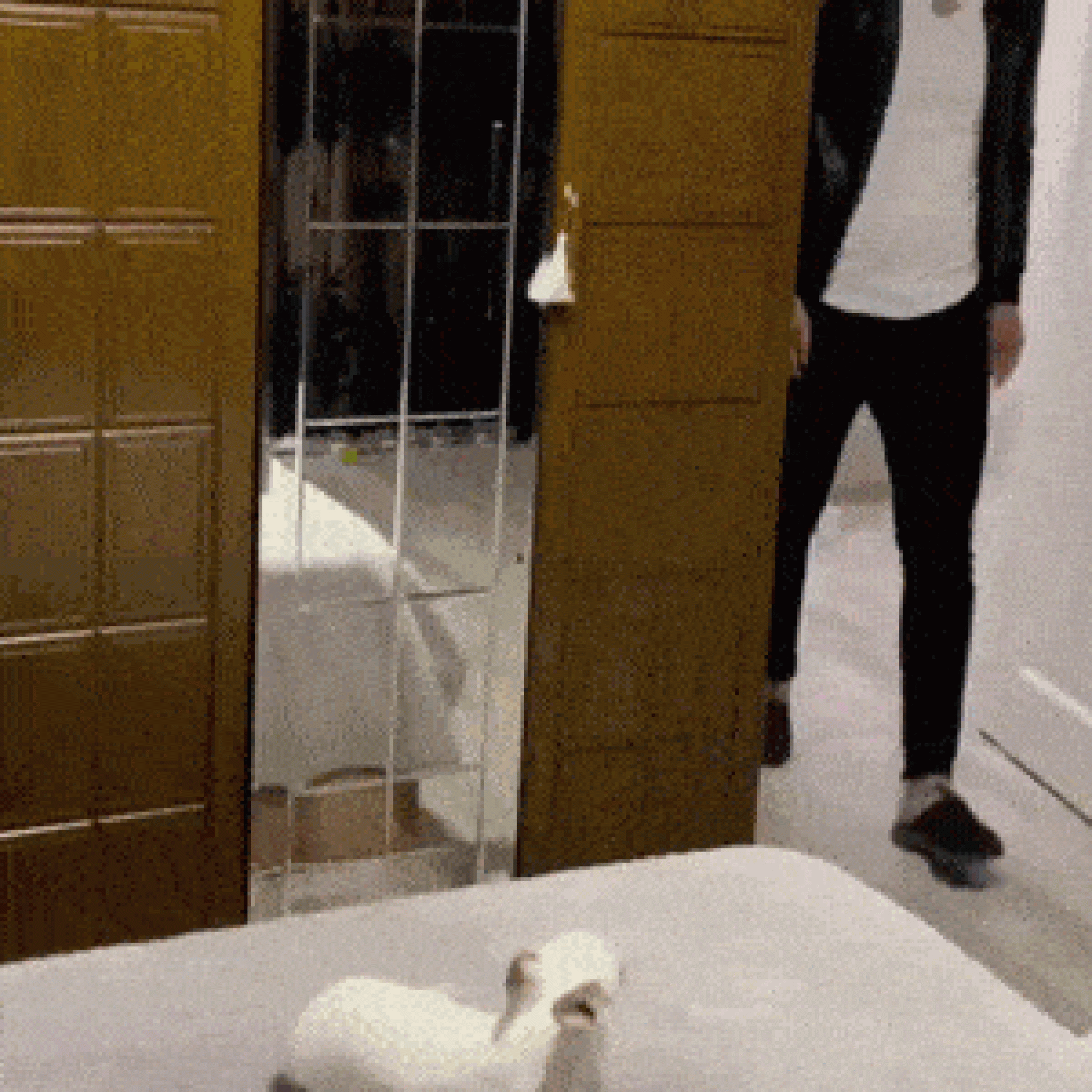 Scratch my back - VideosGifs.Net