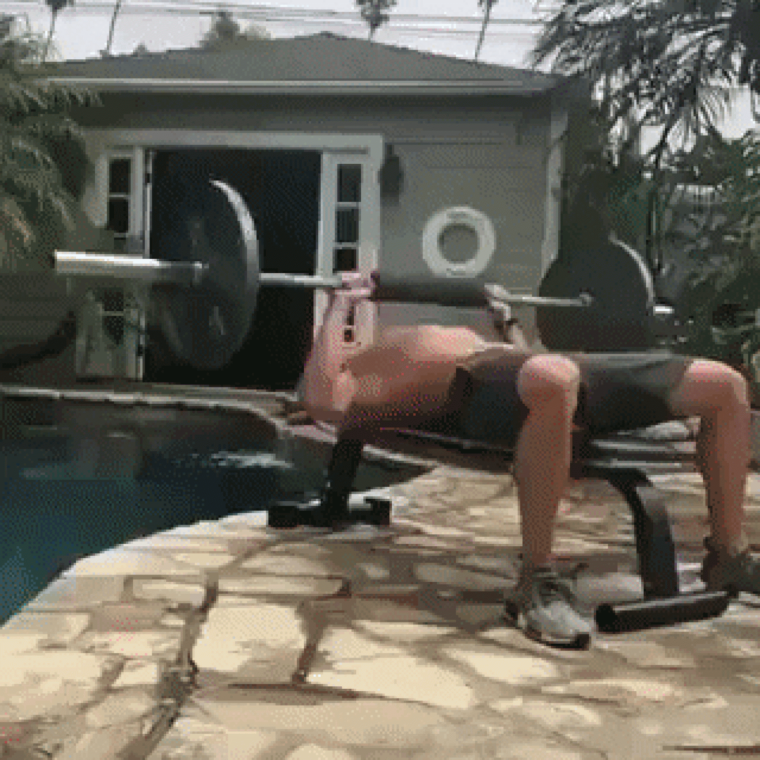 Wasted - VideosGifs.Net