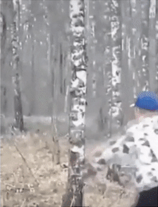 For kicking a tree - VideosGifs.Net