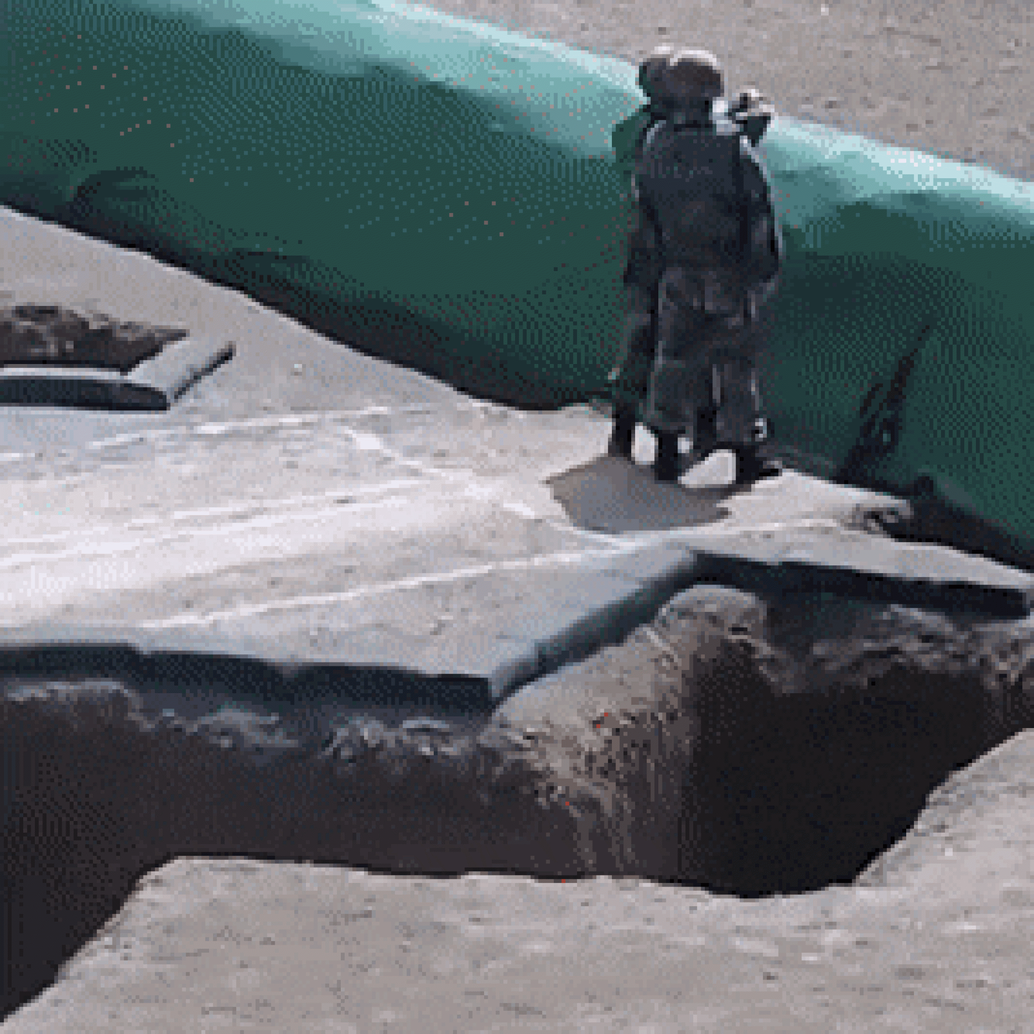 When you order soldiers from Wish