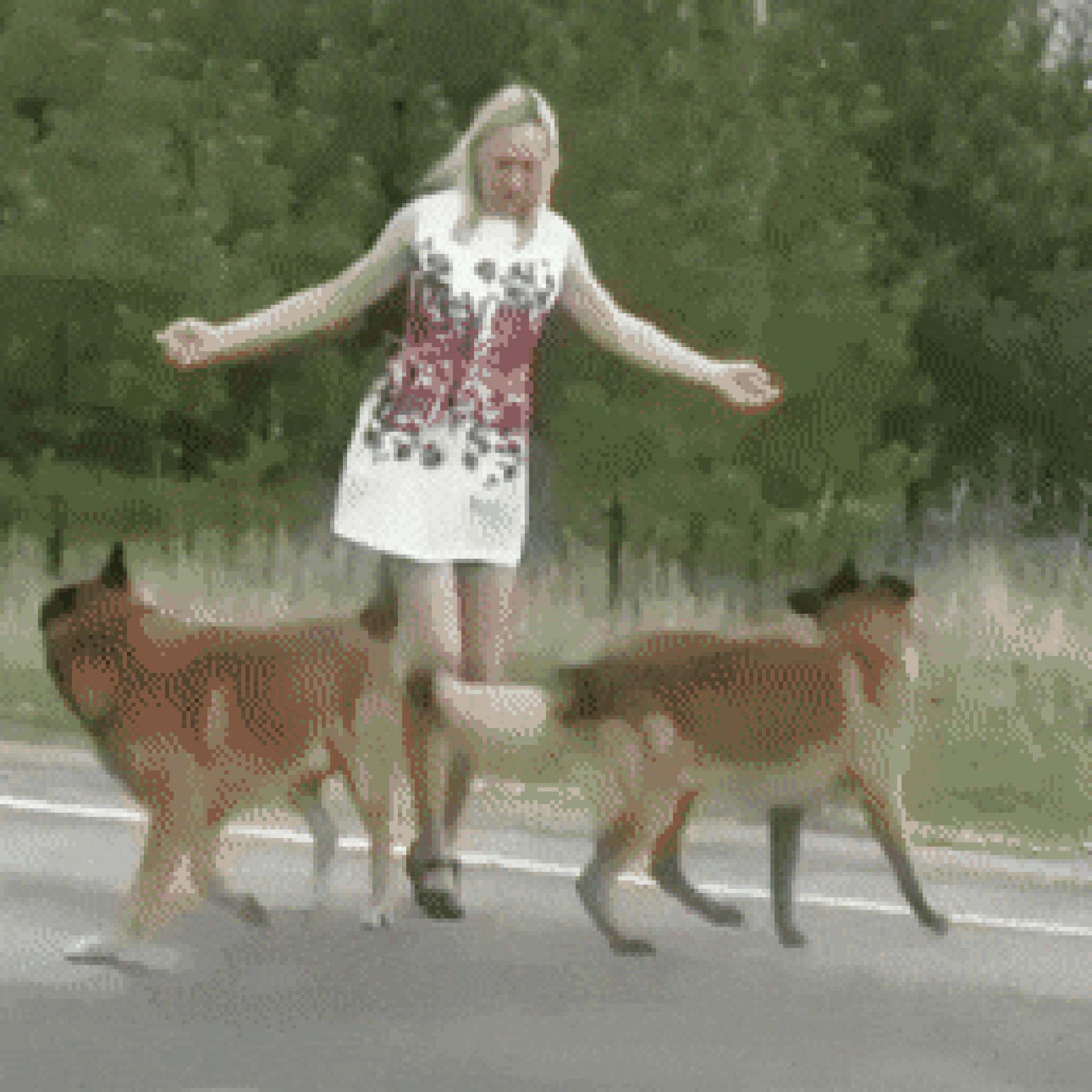 The best dance partners