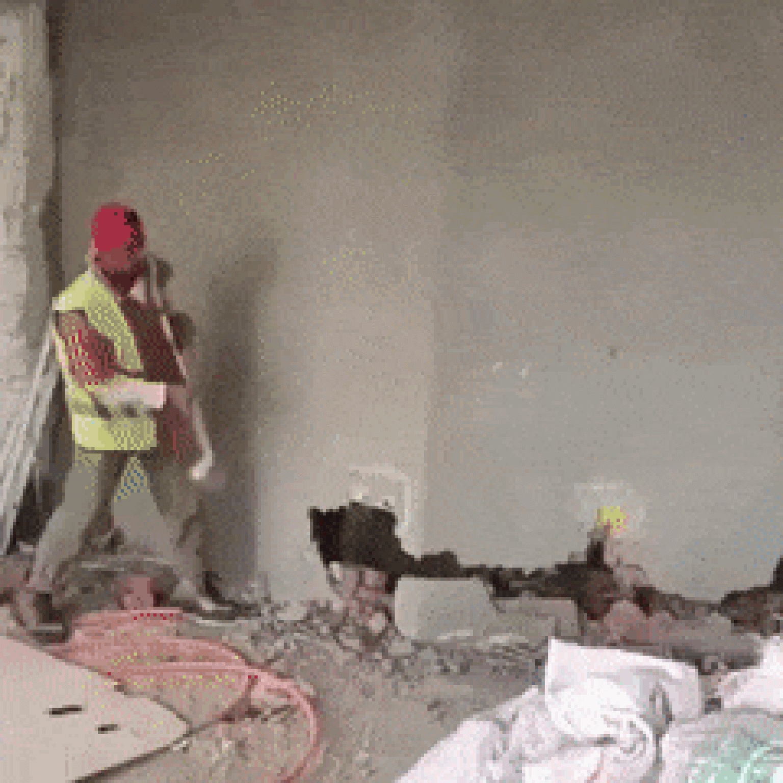 Wonder what the cat was thinking