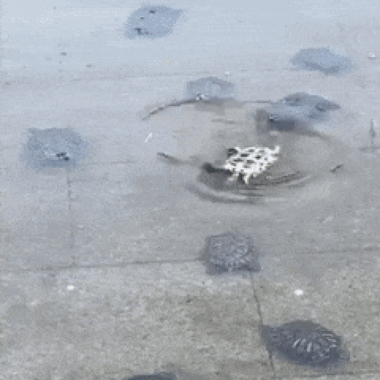 A little help here - VideosGifs.Net