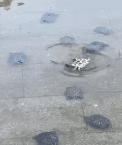 A little help here - VideosGifs.Net